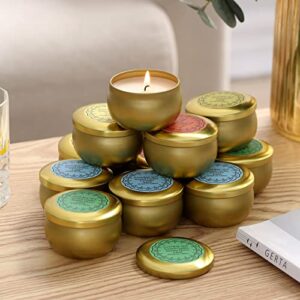 qinxiang Scented Candles Gifts Set,16 Pack Natural Soy Wax Travel Tin Jar Candles for 2.5 OZ Aromatherapy Candles for Family Gatherings, Festive Candles