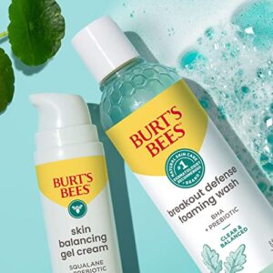 Burt’s Bees Foaming Face Wash, BHA Breakout Defense Cleanser for All Skin Types, Washes Away Impurities & Excess Facial Oil, With a Prebiotic, 8 Oz.