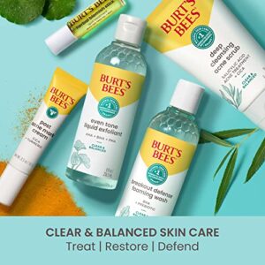 Burt’s Bees Foaming Face Wash, BHA Breakout Defense Cleanser for All Skin Types, Washes Away Impurities & Excess Facial Oil, With a Prebiotic, 8 Oz.