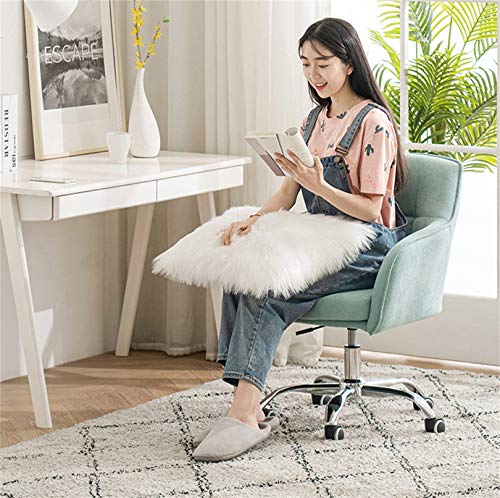 ECBETCR Chair Desk Office Chair Home Rolling Swivel Chair, Computer Desk Chair, Velvet Fabric and Nylon Foot Design, Thick Cushion Pad Flexible for Executive, Drafting, Gaming or Office