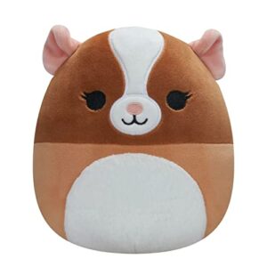 squishmallows 12" garret the guinea pig