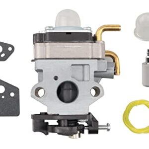 308054129 Carburetor for Ryobi Ry38BP 38cc Backpack Blower with Fuel Filter Assy