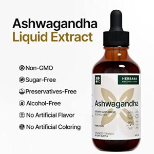 Ashwagandha 4 oz Liquid Extract - Herbal Supplement - Natural Stress Relief | Mood Booster | Sleep & Calming Support Tincture - Withania Somnifera Drops - High Potency - 90-Day Supply