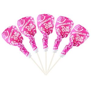 25ct hot pink candy watermelon dum dums lollipops party pops (25 count)