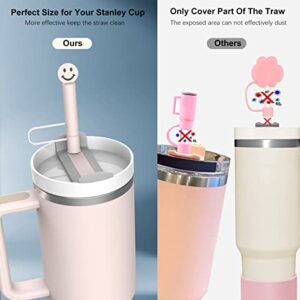 Aiscool 6Pcs Straw Covers Compatible with Stanley 30&40 Oz Tumbler with Handle Rose Quartz, 0.39in/10mm Straw Covers Cap, Soft Reusable Silicone Straw Protectors