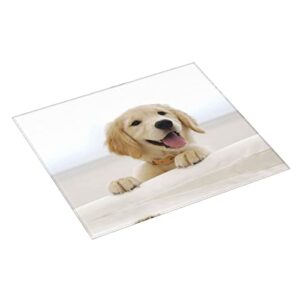 Golden Retriever Puppies Printed Drying Mat For Kitchen Ultra Absorbent Microfiber Dishes Drainer Mats Non-Slip Silicone Quick Dry Pad - 18 X 16inch