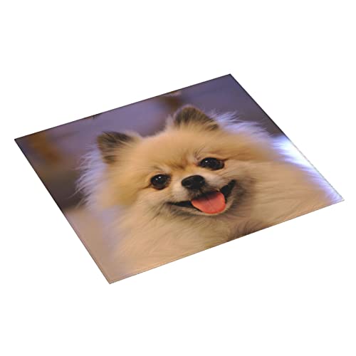 Happy short-haired pomeranian Printed Drying Mat For Kitchen Ultra Absorbent Microfiber Dishes Drainer Mats Non-Slip Silicone Quick Dry Pad - 18 X 16inch