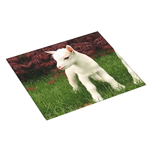 goat Printed Drying Mat For Kitchen Ultra Absorbent Microfiber Dishes Drainer Mats Non-Slip Silicone Quick Dry Pad - 18 X 16inch