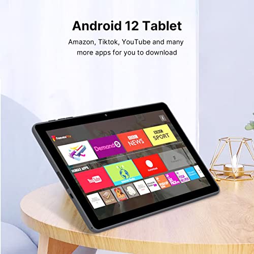 ApoloSign Tablet, 10 inch Android Tablets, Android 12 Tablets Quad-core 4GB RAM 64GB ROM, 5+8MP Dual Camera, WiFi, Bluetooth, 6000mAh Long Life Battery, Silver Grey