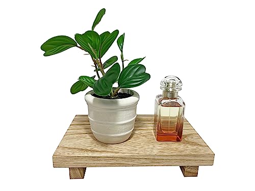 Laual Designs Small Wooden Riser Plant Stand | Rustic Home Décor Pedestal Stand | Handmade Bathroom Decor | Soap Tray | Wood Stand | Decorative Tray Kitchen Décor Farmhouse Decor | Natural