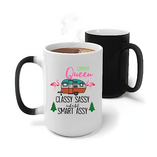 Gift for Camp Lovers Flamingo Graphic RV Camping with Classy Saucy and Smart Assy Humor 11oz 15oz Color Changing Mug