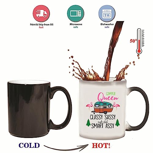 Gift for Camp Lovers Flamingo Graphic RV Camping with Classy Saucy and Smart Assy Humor 11oz 15oz Color Changing Mug