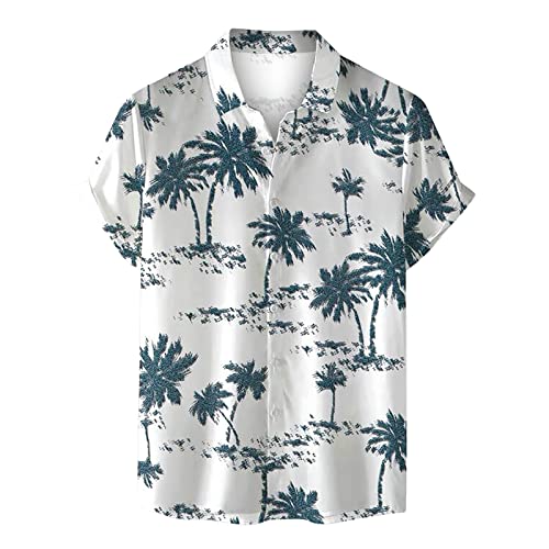 Lastesso Mens Fashion Shirts Mens Hawaiian Shirts Men Casual Shirt Mens t Shirts Casual Stylish Mens Summer Clothes Sky Blue L