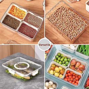 Divided Serving Tray with Lid and Handle,Portable Plastic Veggie Tray,Party Platter,Food Storage Container Box with 4/8 Compartments,for Candy, Fruits, Nuts, Snacks,Picnic (Eight compartments)