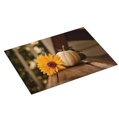 Sunflowers And Pumpkins Large Kitchen Drying Mat 18x24in/Excellent Water Absorption/Keep Your Tabletop Dry