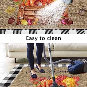 Outdoor Rug 4x6 Reversible Mats Non-Slip Area Rug Outdoor Carpet,Thanksgiving Pumpkin Autumn Leaves Mat for Patio Camping Rv Picnic Backyard Deck Balcony Porch Beach Trailer