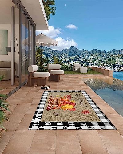 Outdoor Rug 4x6 Reversible Mats Non-Slip Area Rug Outdoor Carpet,Thanksgiving Pumpkin Autumn Leaves Mat for Patio Camping Rv Picnic Backyard Deck Balcony Porch Beach Trailer