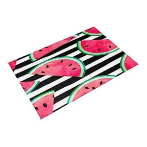 Outdoor Rug Waterproof Outdoor Patio Rug Outdoor Area Rug Mats RV Camping Rugs Outdoor Carpet Tropical Fruit Watermelon Pink Summer Stripe Black and White Background 4x6 Feet