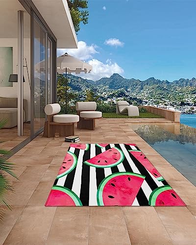 Outdoor Rug Waterproof Outdoor Patio Rug Outdoor Area Rug Mats RV Camping Rugs Outdoor Carpet Tropical Fruit Watermelon Pink Summer Stripe Black and White Background 4x6 Feet