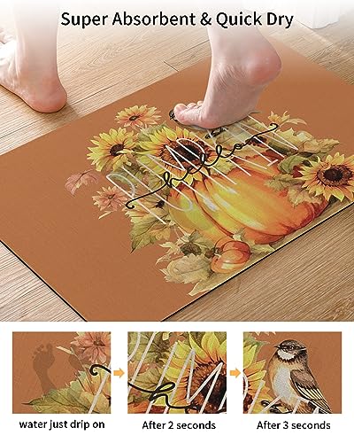 Bathroom Floor Shower Mat, Non-Slip Small Rugs - Easy to Clean, Fall Thanksgiving Pumpkin Sunflower Bird Brown Background Durable Bath Rug 16"x24" Washable Quick Dry Mats for Bathtubs