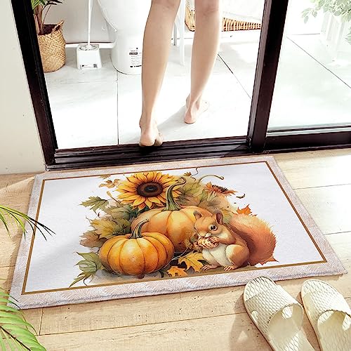 Bathroom Rugs Mat, Thanksgiving Fall Soft Shaggy Bath Carpet, Autumn Pumpkin Sunflower Maple Leaf Orange Non-Slip Floor Mat for Kitchen, Bedroom 16x24in