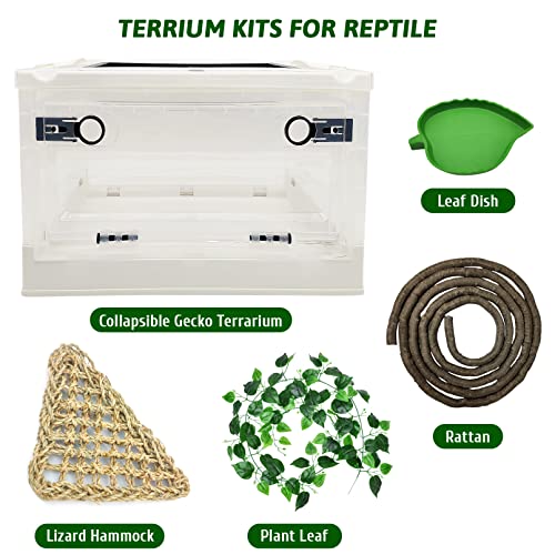 Hamiledyi Foldable Reptile Terrariums Kit, 5PCS Gecko Tank Starter Kits Mini Transparent Lizard Habitat Cages for Iguana, Snake, Bearded Dragon, Tortoise, Chameleon 15.6" x 11.6" x 9.4" White