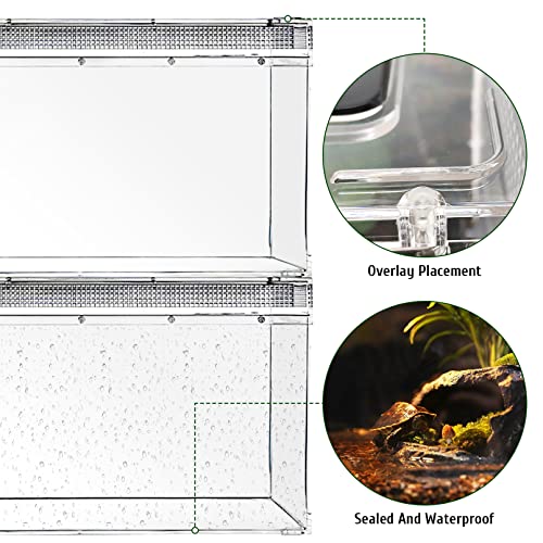 Hamiledyi Reptile PC Glass Terrarium, Amphibians Tank Starter Kits Transparent Small Lizard Habitat Enclosure Gecko Cage Accessories for Snake Lizard Turtle Frogs 12x9x7 Inch