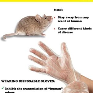 Reusable Mouse Trap with Gloves Indoor and Outdoor (Pack of 6,8 and 12) Safe Mouse Trap Easy to Clean and Setup Bait Reacting Quickly, Reusable and Durable Neatbec (Pack of 6)