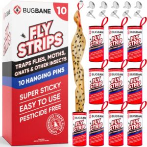 10 fly strips indoor sticky hanging with pins. fly trap fly paper strips indoor hanging fly tape for indoors and outdoor. fly catcher fly ribbon sticky fly traps for indoors flypaper. fruit gnat traps