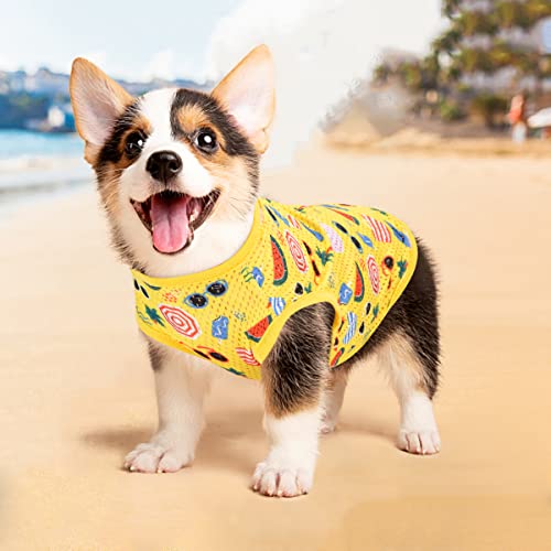 Dog Hawaiian Shirt Summer Puppy Clothes for Small Dogs Boy Girl Chihuahua Yorkie Teacup Pineapple Pet Tshirts for Cats Tiny Pets Outdoor Hawaii Doggy Shirts 2 Pack (Small, Hawaii)