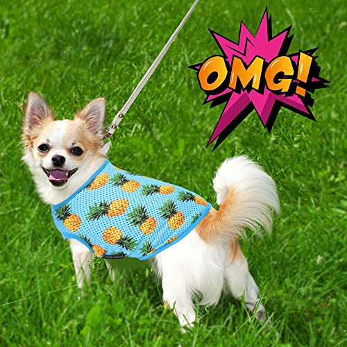 Dog Hawaiian Shirt Summer Puppy Clothes for Small Dogs Boy Girl Chihuahua Yorkie Teacup Pineapple Pet Tshirts for Cats Tiny Pets Outdoor Hawaii Doggy Shirts 2 Pack (Small, Hawaii)