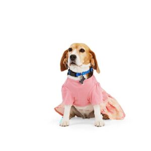 Petco Brand - YOULY Vacay Tiedye Dog Dress, Small, Pink