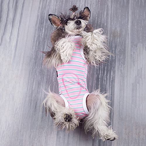 Puppy Recovery Surgical Suit for Female Male Dogs Cats Abdominal Wounds,Professional Spay Neuter Dog Pet Bodysuit, E-Collar Alternative After Surgery Wear Anti Licking Wounds,Dog Onesie