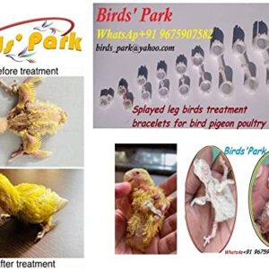 Birds' Park Splayed Leg Bird Treatment Bracelet Size: 3,4,5,6, &7mm(10 pcs)-Good for Baby Budgerigar, African Lovebird & Conure-by FedEx