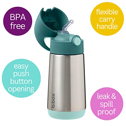 b.box 12 oz Insulated Drink Bottle | Keeps Drinks Cold up to 8 Hours, Warm up to 6 Hours | Double Wall Stainless Steel (Emerald Forest, 12 oz)