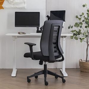 AOSKY Office Chair Ergonomic Desk Chair Task Chair with Mesh Backrest Height Adjustable Armrest Leaning Adjustable Computer Chair for Home Office (Black Back)