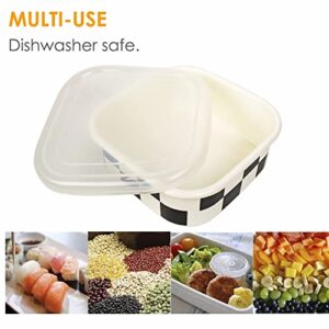 Enamel on Steel Food Storage Container with Lid (0.6, Square, 1, OLYTARU-Container-001)