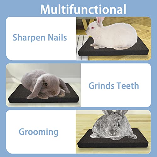 BNOSDM Rabbit Grinding Claw Pads Bunny Scratch Foot Pads Natural Hamster Lava Stone for Teeth Grinding Black Guinea Pig Scratching Board Chew Toy for Ferret Chinchilla Mouse