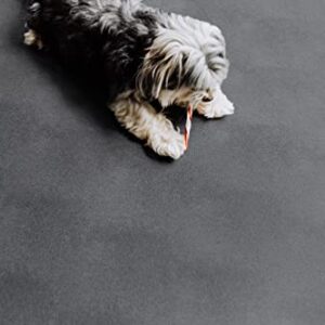 G-Floor for Pets Levant Texture Protective Vinyl Floor Covering for Hardwood, Concrete, and Low-Pile Carpet - 7.5ft x 17ft Slate Grey