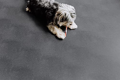 G-Floor for Pets Levant Texture Protective Vinyl Floor Covering for Hardwood, Concrete, and Low-Pile Carpet - 7.5ft x 17ft Slate Grey