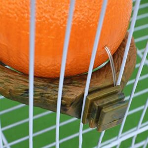 Bird Feeder Bowl Caged with Fruit Shape, Parrot Water Food Feeding Bowl for Small Animal Bird Parrot Drinking Cup Container Cage,Orange-Shape