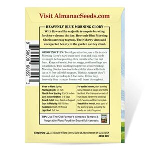 The Old Farmer's Almanac Morning Glory Seeds (Heavenly Blue) - Approx 50 Flower Seeds - Premium Non-GMO, Open Pollinated, USA Origin