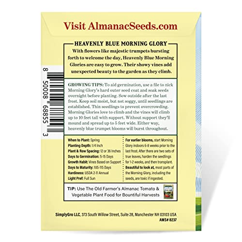 The Old Farmer's Almanac Morning Glory Seeds (Heavenly Blue) - Approx 50 Flower Seeds - Premium Non-GMO, Open Pollinated, USA Origin