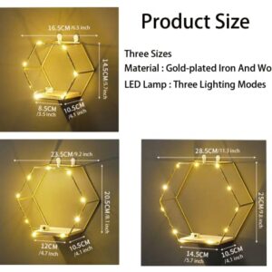 Liywall - Hexagon Floating Shelves Wall Decor, Gold Metal Wire and Wood Wall Mounted Storage Shelf Home Decorations Art for Bedroom Living Room Kitchen Bathroom, Set of 3 with LED Lights