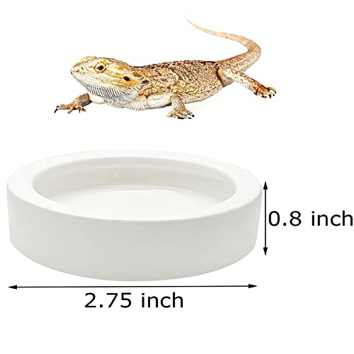 3 Pcs Reptile Food Bowl, Ceramic Water Feeder Bowl for Lizard Anoles Bearded Dragons Crested Gecko Hermit Crabs Triangular