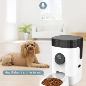 SHANDII Automatic Cat Feeder, 4L Programmable Pet Food Dispenser with Timer and Portion Control, 1-4 Meals per Day, Button-Lock Lid with Desiccant Bag, 10s Voice Recorder, BF40