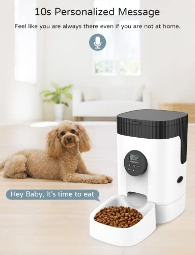 SHANDII Automatic Cat Feeder, 4L Programmable Pet Food Dispenser with Timer and Portion Control, 1-4 Meals per Day, Button-Lock Lid with Desiccant Bag, 10s Voice Recorder, BF40