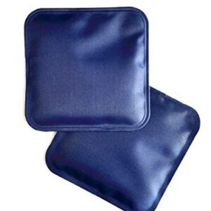 Ice Pack (Pack of 2) Replacement for PAWISE Automatic 1 Meal Feeder and 2 Meals Feeder