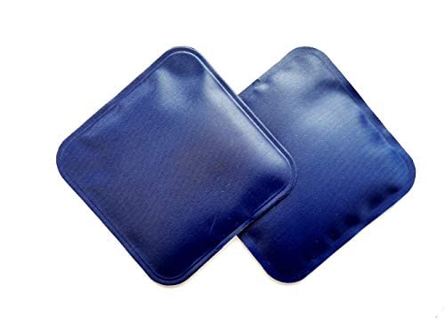 Ice Pack (Pack of 2) Replacement for PAWISE Automatic 1 Meal Feeder and 2 Meals Feeder