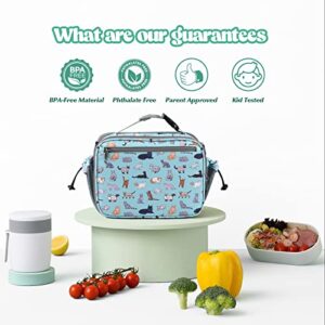 Maelstrom Lunch Box Kids,Expandable Kids Lunch Box,Insulated Lunch Bag for Kids,Lightweight Reusable Lunch Tote Bag for Boy/Girl,Suit for School/Picnic,9L,Cat